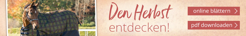 Loesdau - Pferdesport - Reitbedarf - Reitartikel - Reitsport Shop