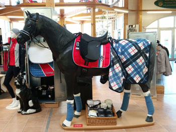 Pferdesporthaus Loesdau in Recklinghausen / Münsterland - Loesdau ...