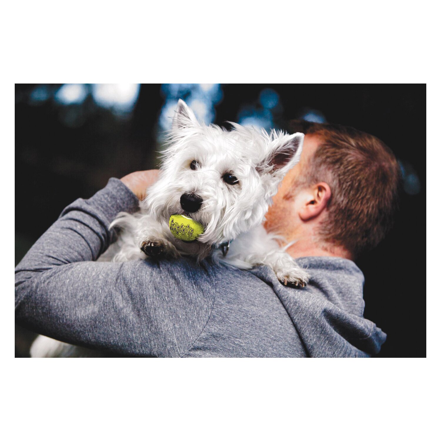 Hundespielzeug: Abwechslung für glückliche Hunde | Loesdau - Hund ...