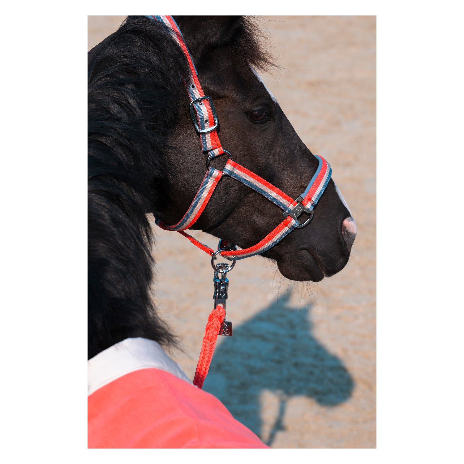 Eskadron Halfter kaufen – Top-Qualität | Loesdau - Marken - Loesdau ...