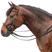 Side Pulls & Bosals - Themenbereiche - Loesdau - Passion Pferdesport