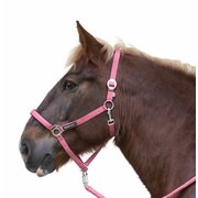 Halfter - Pferd - Loesdau - Passion Pferdesport