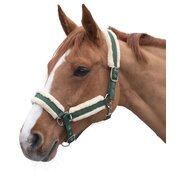 Halfter - Pferd - Loesdau - Passion Pferdesport