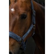 Halfter - Pferd - Loesdau - Passion Pferdesport